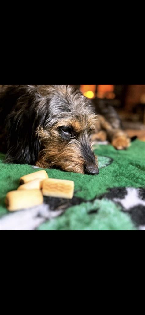 Dancing Trees Dancing Trees Added A New Photo