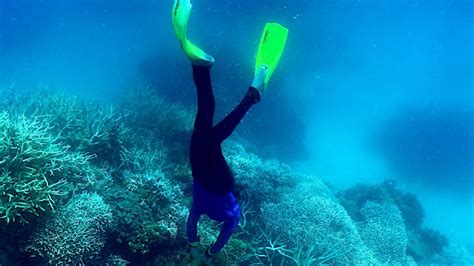 Meet The Indigenous Women Working To Protect The Great Barrier Reef