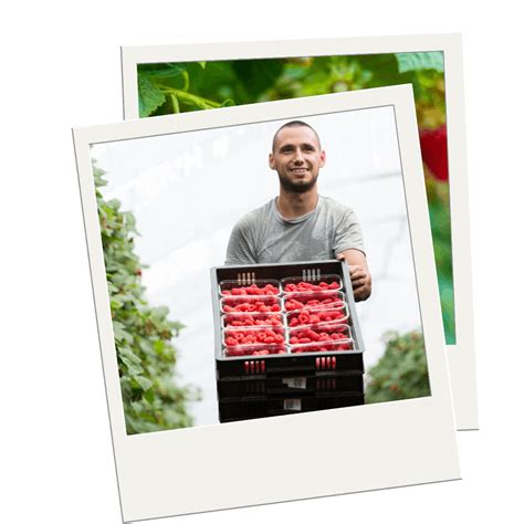 Berryworld Plus™ Berryworld