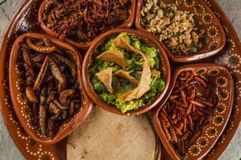 Plato Con Múltiples Insectos Comestibles Comida Tradicional Mexicana