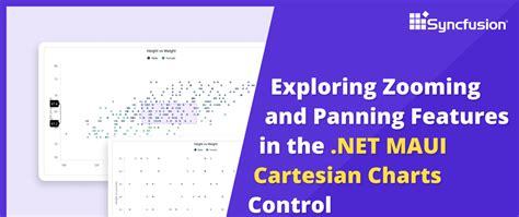 Exploring Zooming And Panning Features In The Net Maui Cartesian