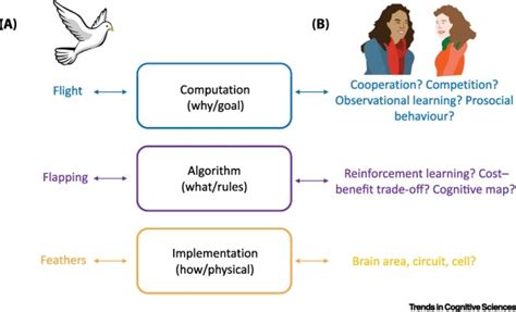 Is There A Social Brain Implementations And Algorithms Trends In