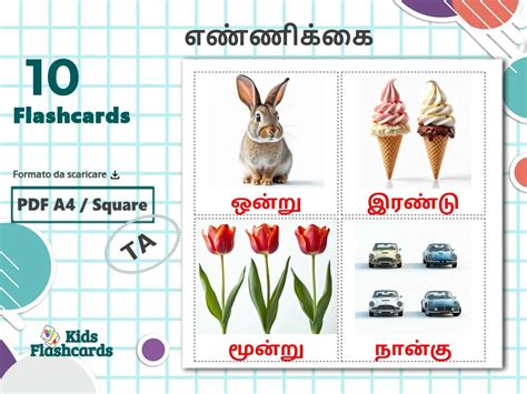 10 flashcard gratuite sui conteggio in 4 formati pdf immagini in tamil