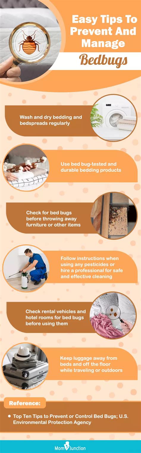 How To Treat Bedbug Bites In Babies