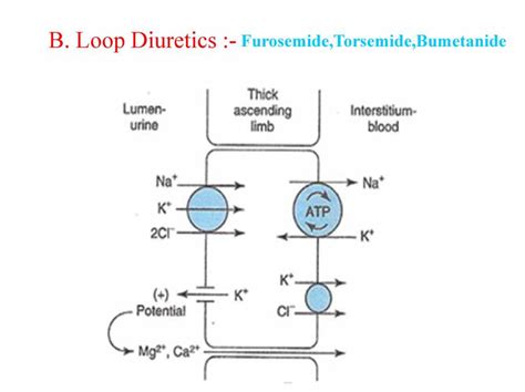 Diuretics Medbullets At Phoebe Tindal Blog