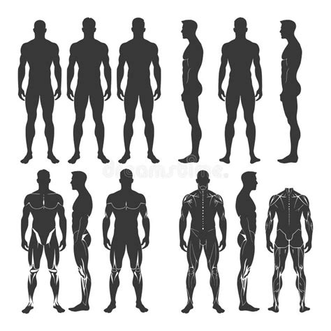 Human Body Silhouette Front And Back