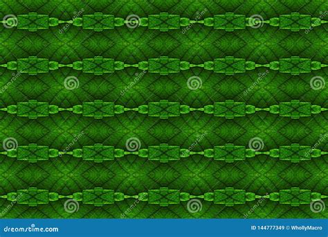 Tiled Pattern From A Picture Of A Leaf Stock Image Image Of Flora