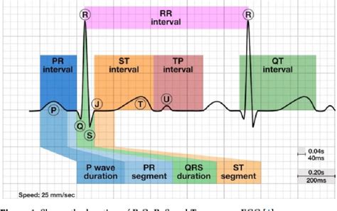 Figure 1 From Detection Of Myocardial Infarction Using Hybrid Models Of Convolutional Neural