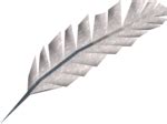 Quill The Runescape Wiki