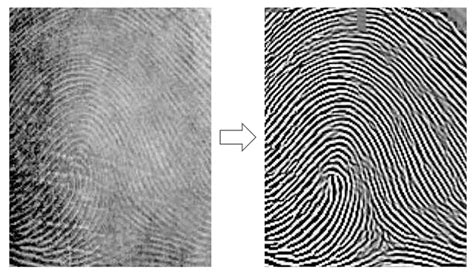 A Behavioral Based Fingerprint Liveness And Willingness Detection System