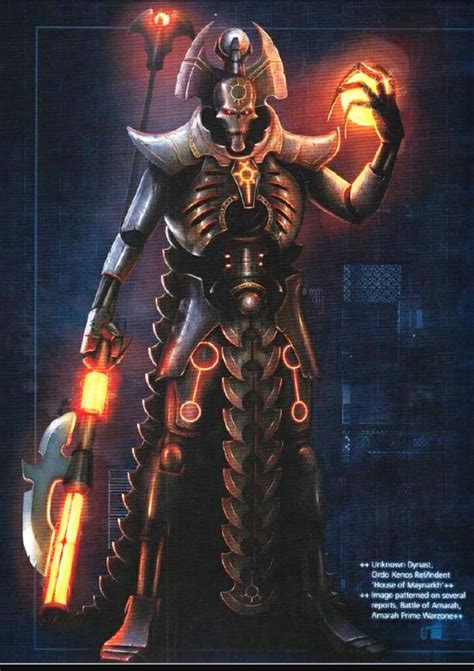 Dragons Eye Miniatures Unit Perusal Canoptek Acanthrites