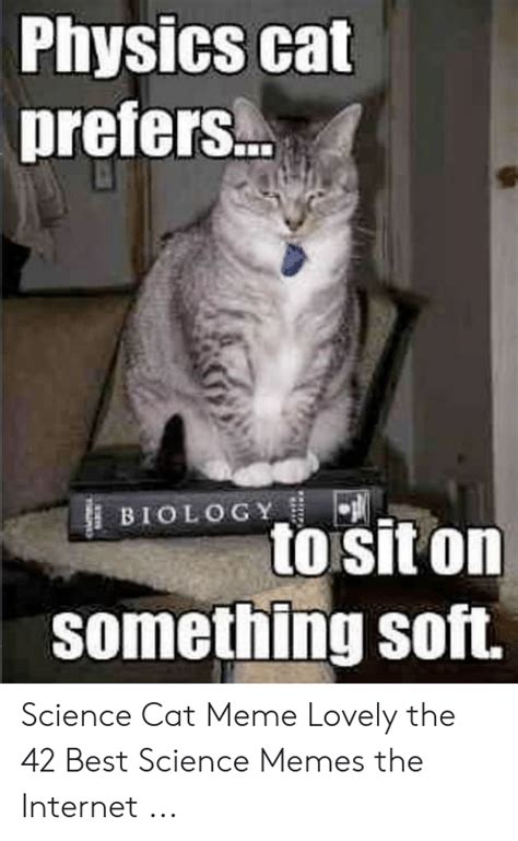 Physics Cat Meme