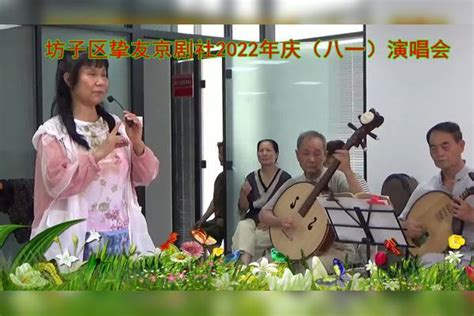 京剧3190《霸王别姬》看大王在帐中和衣睡稳（赵桂华） 赵桂华 大王 霸王别姬