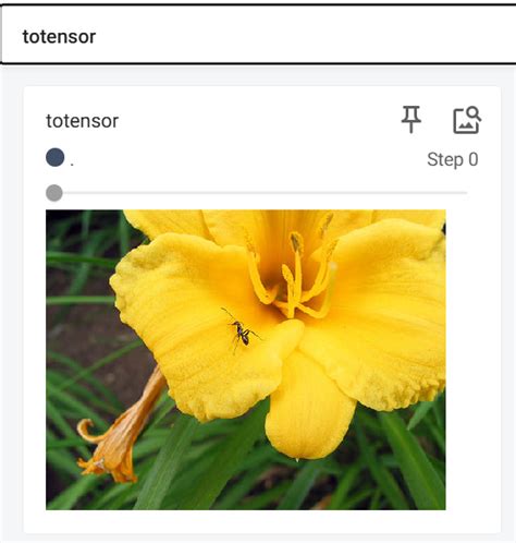 Transforms的使用以及常见的transformsto Tensornormalizeresizecomposerandomcrop Csdn博客