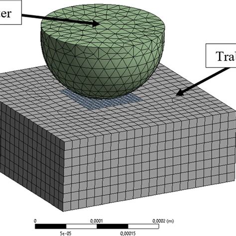 The 3d Model Of Trabecular Bone Sample Download Scientific Diagram