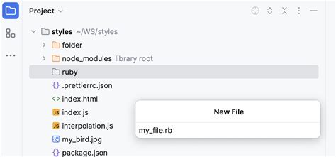 creating files and directories webstorm documentation