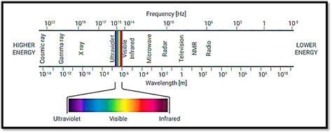 uv vis spectrophotometer principle components uses