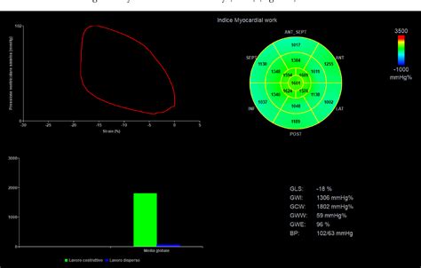 Figure 1 From Normal Values For Echocardiographic Myocardial Work In A