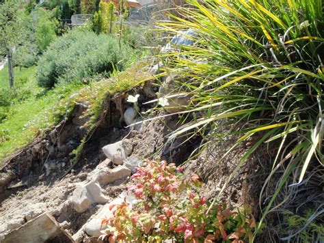 Gophers Gone Wild The Hidden Peril How Gopher Tunneling Can Trigger