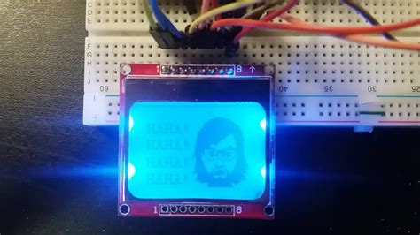 stm32f0 5110 lcd test youtube