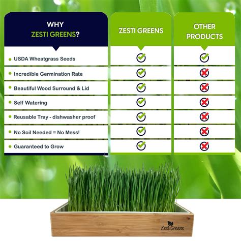 Organic Wheatgrass Growing Kit Self Watering