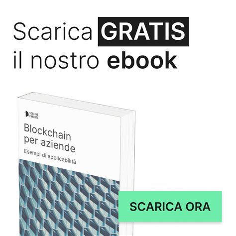 Cosè E Come Funziona Una Transazione Su Blockchain Scaling Parrots