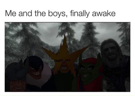 Hey Youre Finally Awake R Skyrimmemes