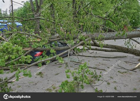 Tree Fell Car Tree Collapsed Carried Away Bad Weather Crushed Stock Photo Vovantarakan