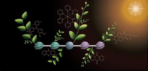 人工分子能模仿自然光合作用—新闻—科学网