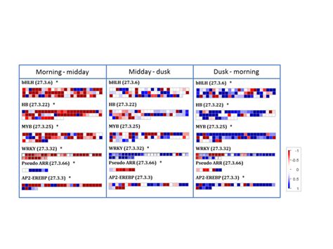 Mapman Diagrams For Pairwise Comparisons Of Transcription Factor Gene Download Scientific