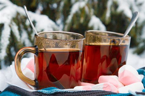 마쉬 멜 로우는 나무 아래 차 두 잔 눈에 파란 스카프에 싸여 0명에 대한 스톡 사진 및 기타 이미지 0명 개인 장식품 거리 Istock