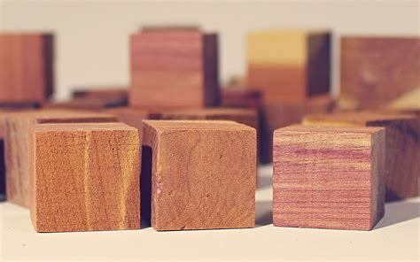 Cedarwood Benefits Beyond Moth Prevention Aromatherapy And More