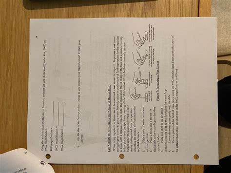 Lab Activity G Estimating The Size Of An Object When