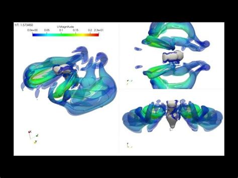 Amr Emad On Linkedin Unsteady Aerodynamics Flapping Insect Low Reynolds Cfd Openfoam