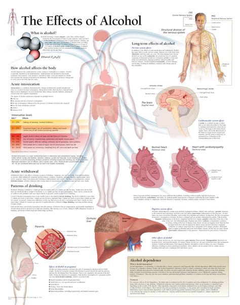 Chart Effects Of Alcohol