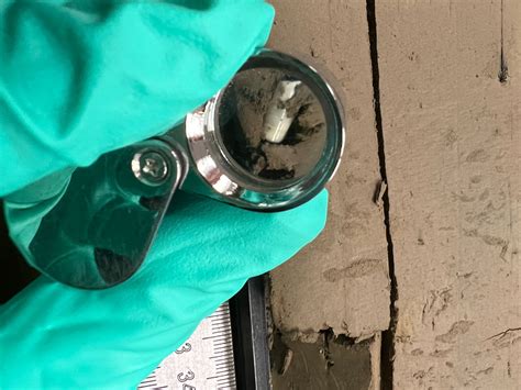 Drilling Into Earth History Geology Major Experiences Core Sampling Science On Mediterranean