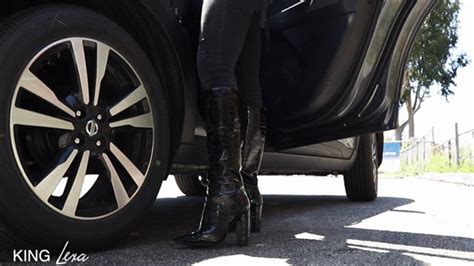 The Difference Comparing My Two D Female King Clips4sale