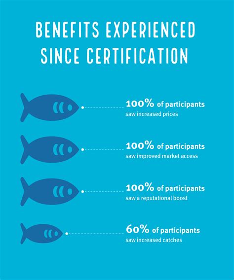 Msc Certification In The Uk Motivations And Market Benefits
