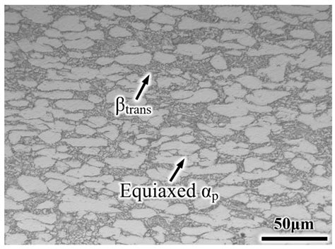 Deformation Behavior And Tensile Properties Of The Semi Equiaxed Microstructure In Near Alpha