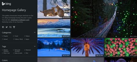 Las Páginas De Inicio Más Populares De Bing Y Las Pelí­culas Más
