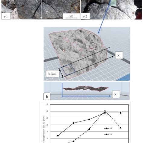 Macroscopic Roughness Data Using A 3d Scanner A 1a 2 Coordinates Of