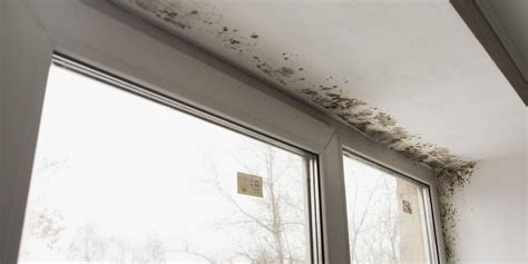 Як знизити вологість у будинку — як прибрати вогкість у приватному будинку та квартирі