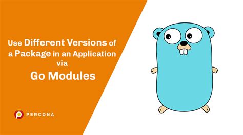 Using Different Versions Of A Package In An Application Via Go Modules