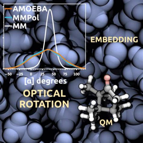 Importance Of Polarizable Embedding For Computing Optical Rotation The Case Of Camphor In