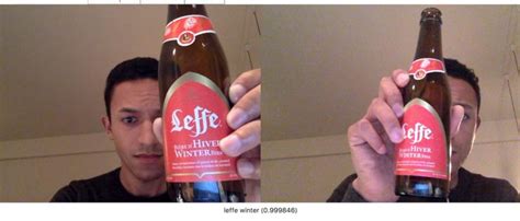 Creating An Image Classifier Using Transfer Learning And Auto