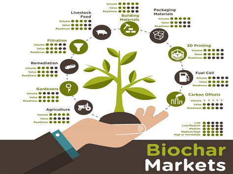 Biochar Pure Advantage