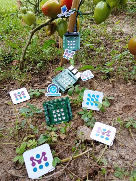 Josef Holzmayr On Linkedin Oshw