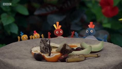 Twirlywoos Season 2 Episode 25 Smaller Watch Cartoons Online Watch