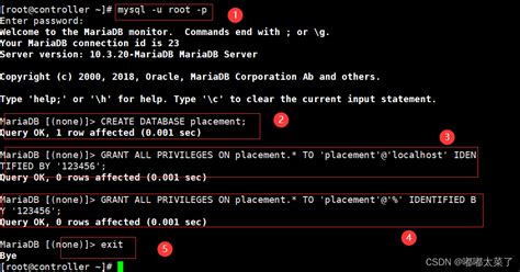 【openstack train安装】八、placement安装 安装placement csdn博客