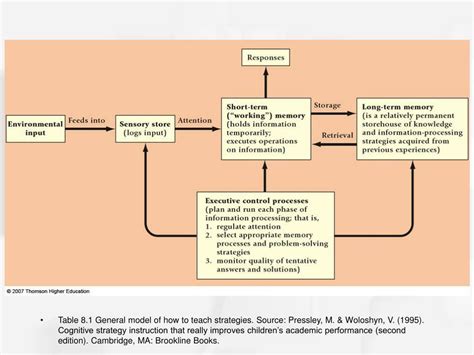 Ppt Chapter 8 Cognitive Development Information Processing Perspectives Powerpoint